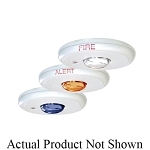 EDWARDS GCWA-VMHA GCCIGHISTRO W A AMBER | Stanion