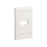 PANDUIT CFPL2IWY FACEPLATE 2 PORT SINGLE | Stanion