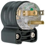 P&S PS5266-HGAN STR BLD ANGLE PLUG 3W 15A 125V H | Stanion